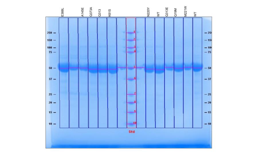 D2D CURE | Data | Raw Characterization Data