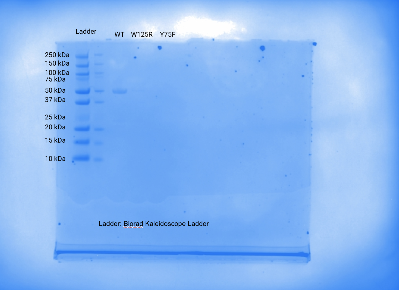 D2D CURE | Data | Raw Characterization Data